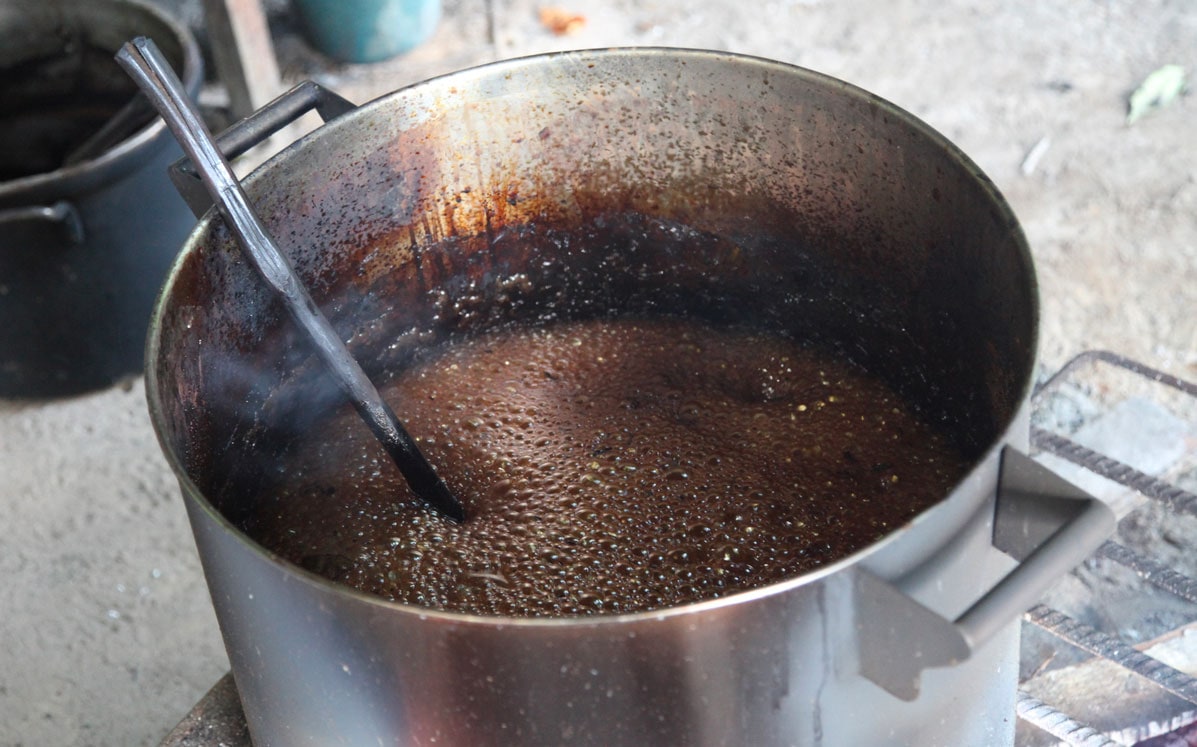 Mind blowing Ayahuasca ceremony in Phuket, Thailand